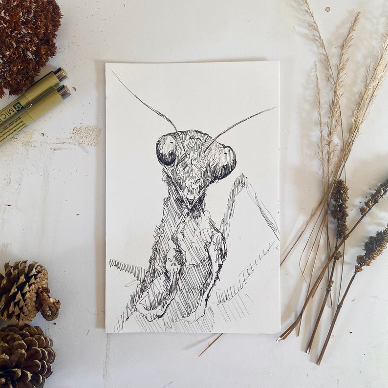 Praying Mantis Drawing - Etsy