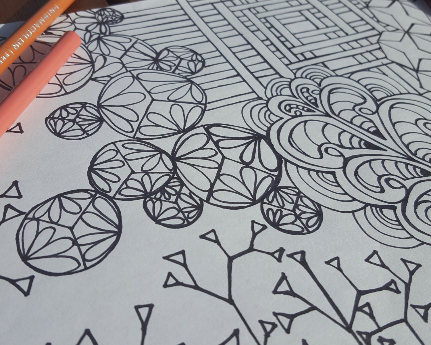 Detailed Adult Coloring Page Detailed Coloring Page - Etsy