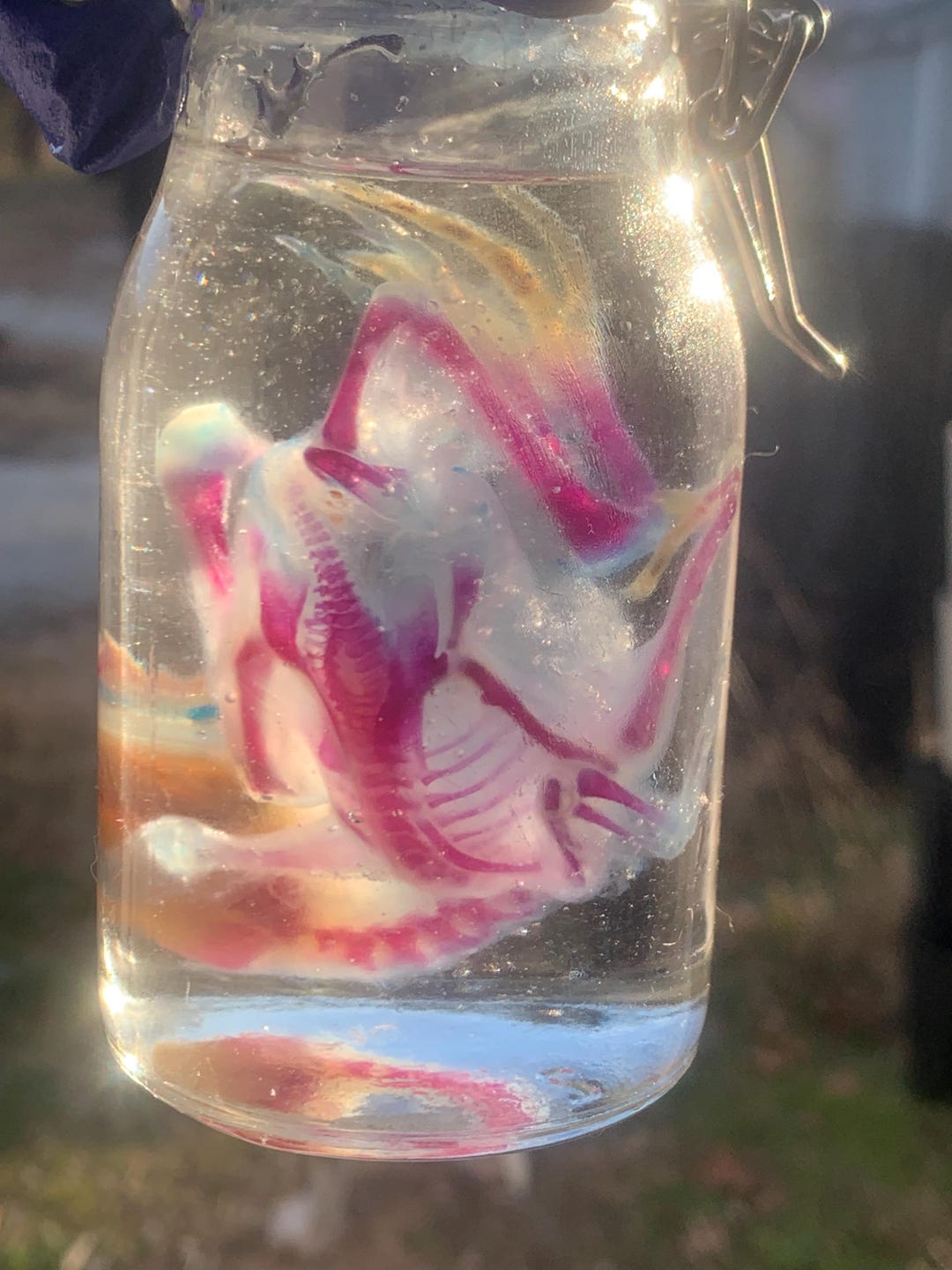 RARE Diaphonized Baby Chicken W THREE LEGS - Deformed Freak - Oddity ...