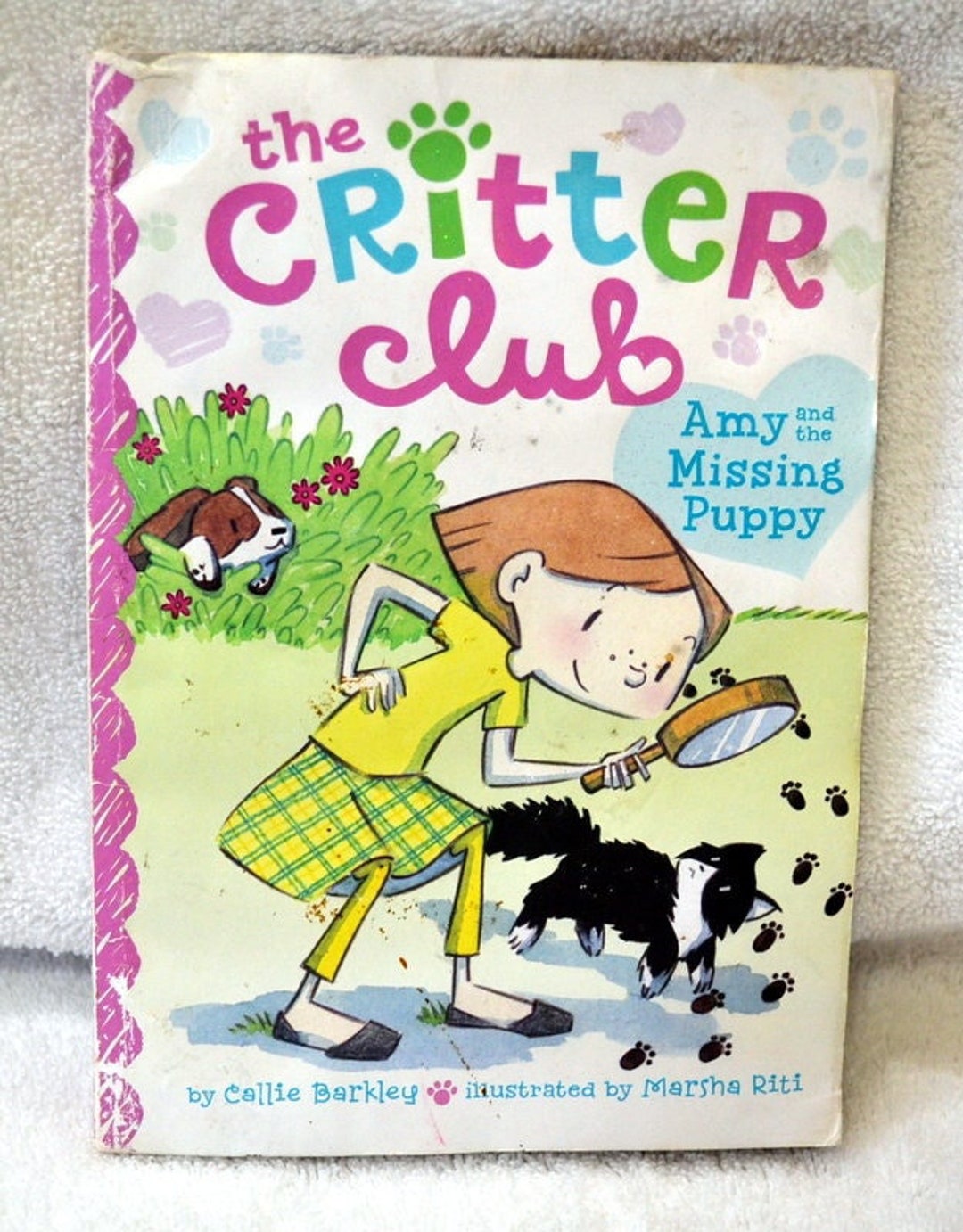 The Critter Club – Amy and the Missing Puppy, Children’s Story, Fun ...