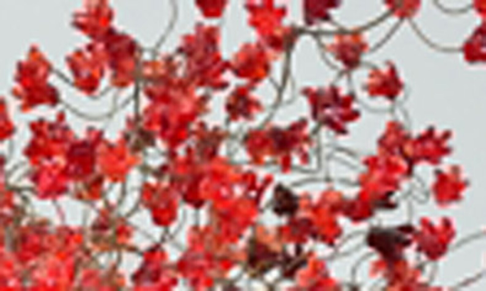 Large Red Chandelier Lighting Unique Hanging Lighting With - Etsy