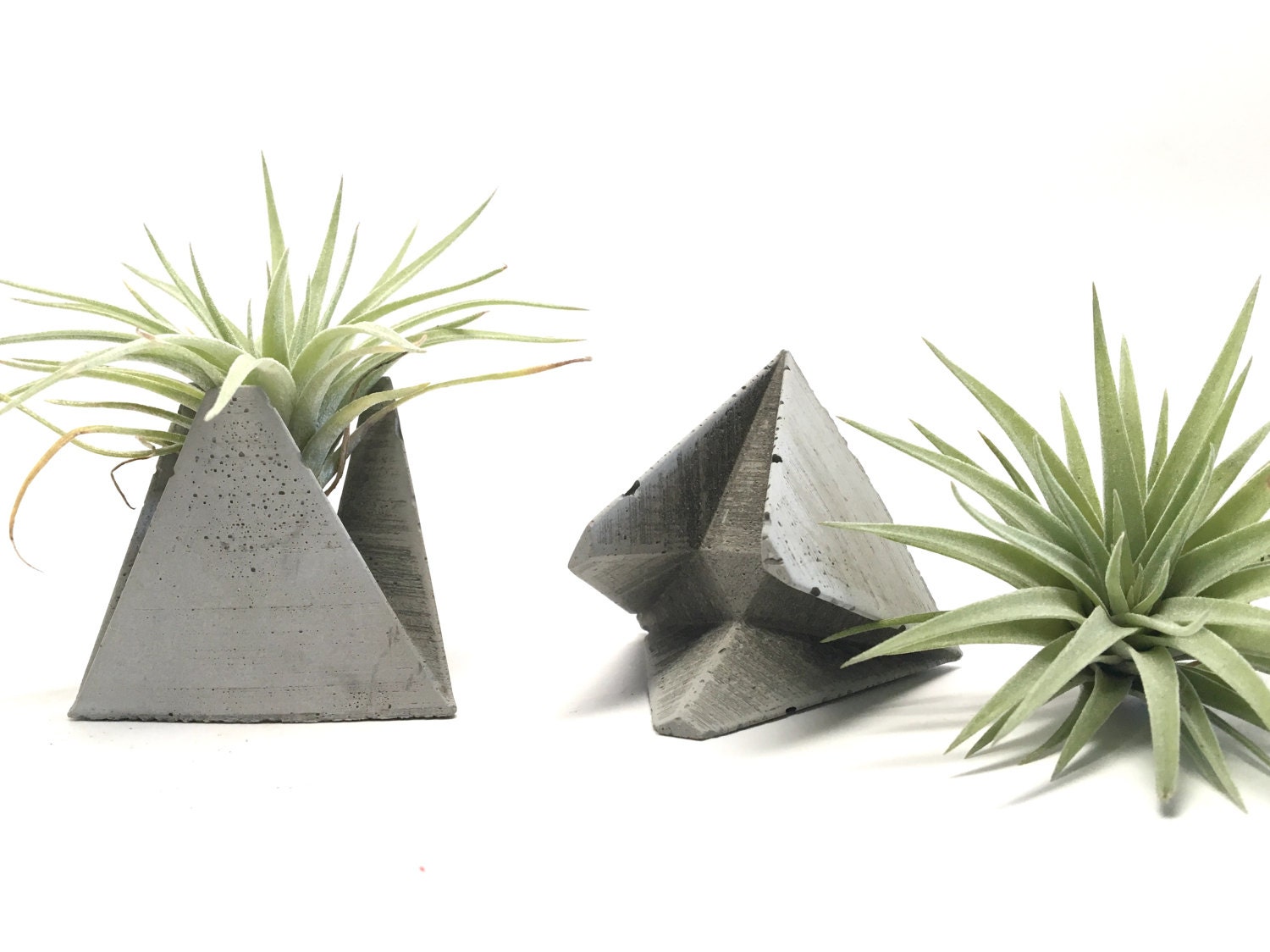 Concrete Pyramid Air Plant Holders Includes Air Plants | Etsy
