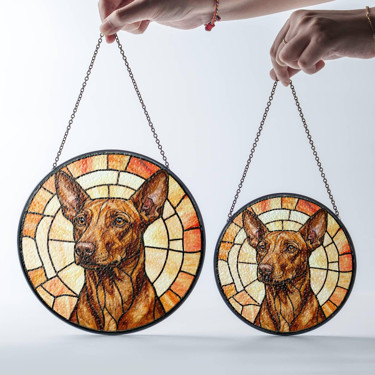 Pharaoh Hound Stained Glass Suncatcher: Pharaoh Hound Dog Light Catcher ...