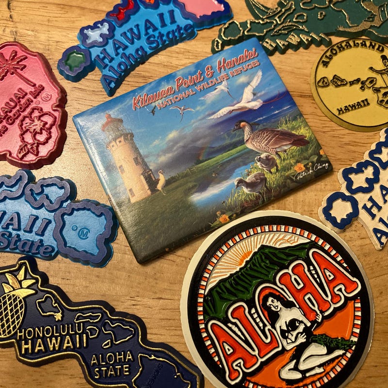 Hawaii Magnet - Etsy