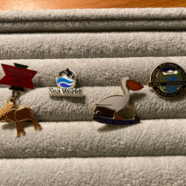 Vintage Pins National Parks - Etsy