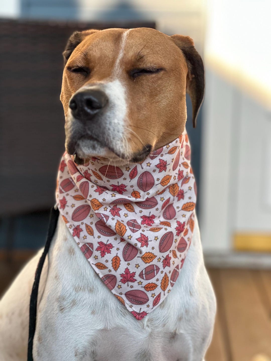 Football Leaves and Stars Brown Bandana - Etsy