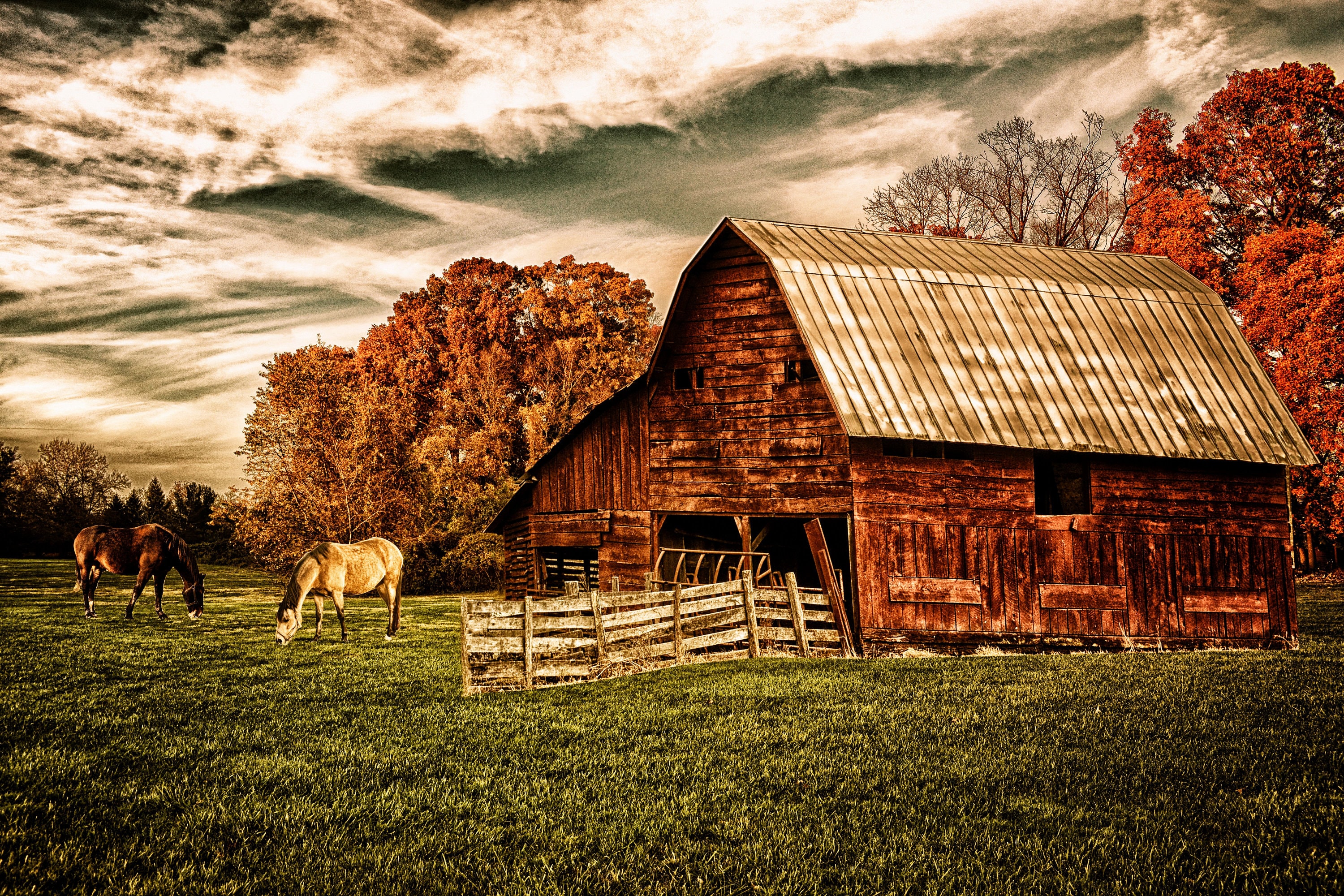 Peaceful Country Scene Horses Grazing Barn Art Old Barn | Etsy