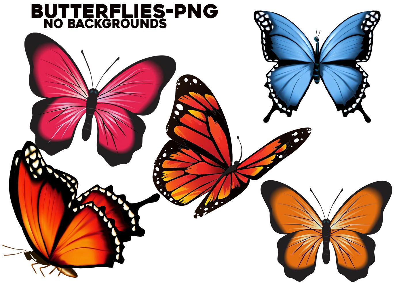 Butterfly Butterflies Digital Download Graphics Clip Art PNG ...