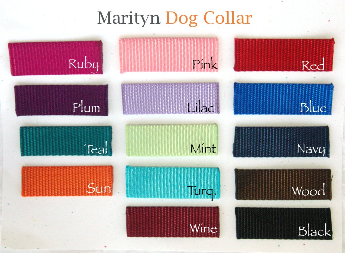Dog Leash Solid Dog Lead for Personalized Dog Collar Perfect - Etsy