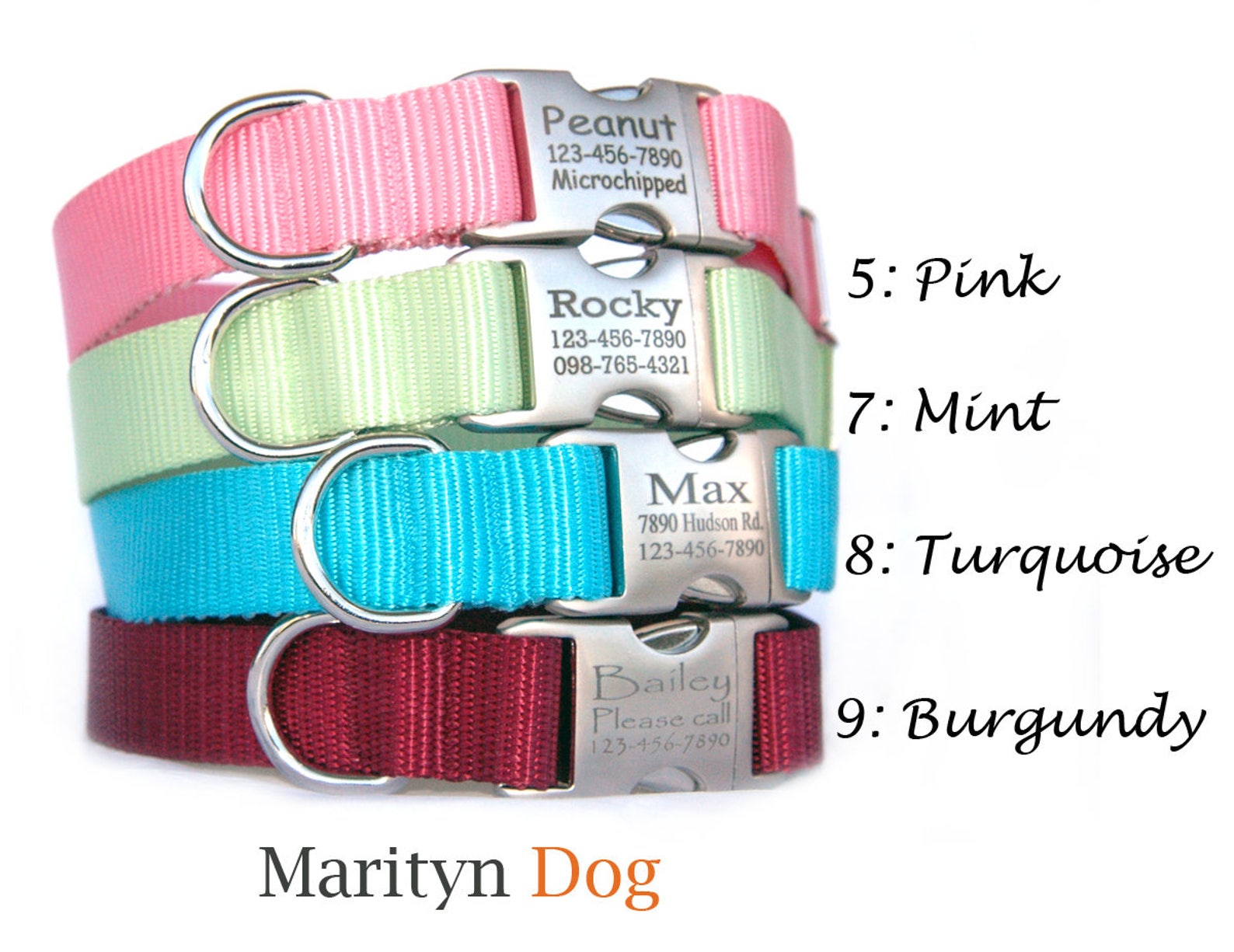 Personalized Dog Collar Laser Engraved Pet Id Tag Silver Gold | Etsy