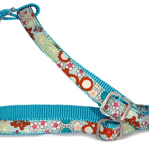 Turquoise Dog Harness Dog Leash for Small Dogs to Large Dogs Cute ...