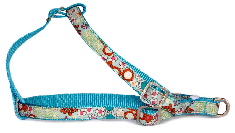 Turquoise Dog Harness Dog Leash for Small Dogs to Large Dogs - Etsy