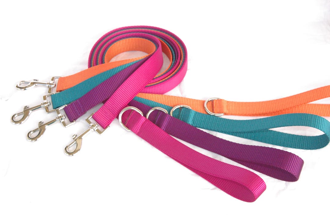 Dog Leash Solid Dog Lead for Personalized Dog Collar Perfect Christmas ...