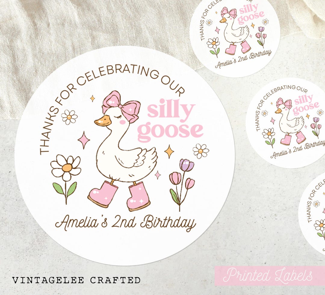 Goose Birthday Thank You Stickers, Goose Birthday Party Favors, Silly ...