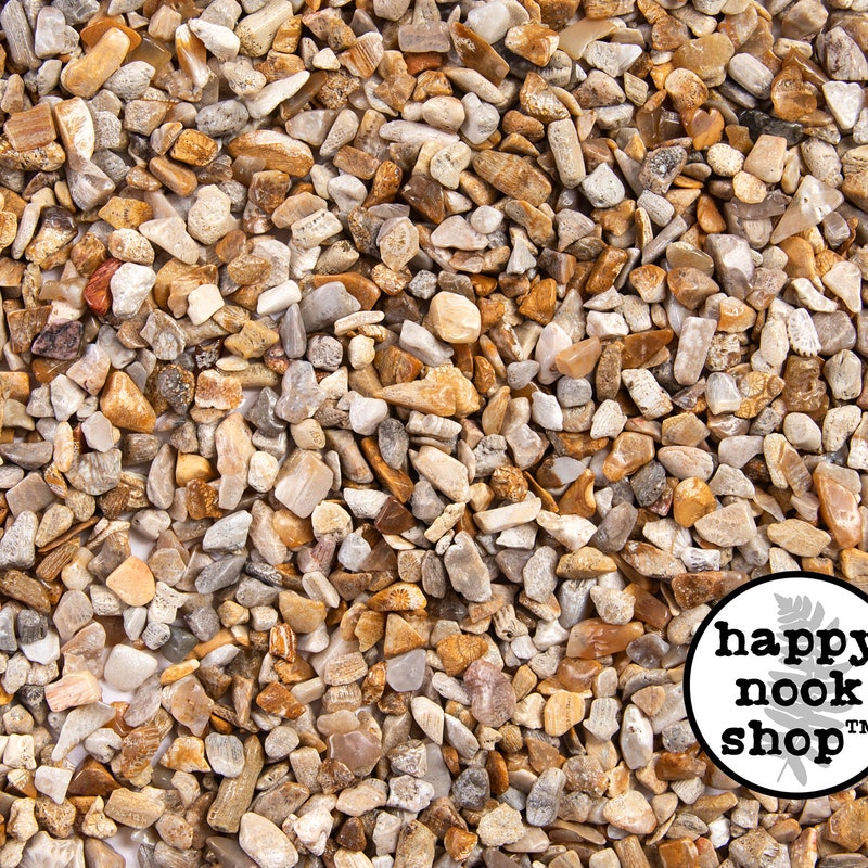 Coral Chips - Etsy