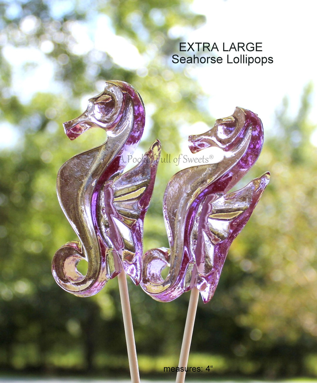 XLARGE Seahorse Lollipops, Under the Sea Baby Shower Favors, Seahorse ...