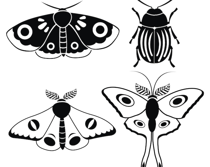 Set of 4 Bug Decals // Beetle Decal // Moth Decal // Moon Moth // Bug ...