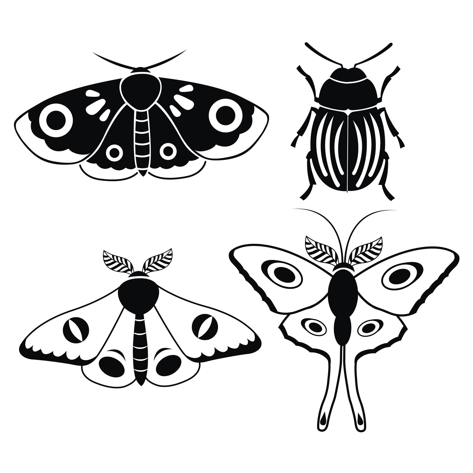 Moon Moth Decal // Moon Moth Car Decal // Moon Moth Wall Decor | Etsy