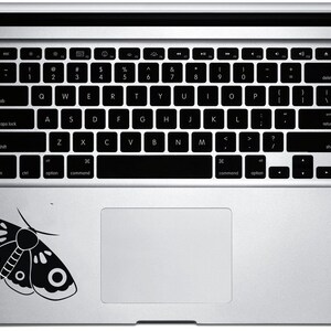 Set of 4 Bug Decals // Beetle Decal // Moth Decal // Moon Moth // Bug ...