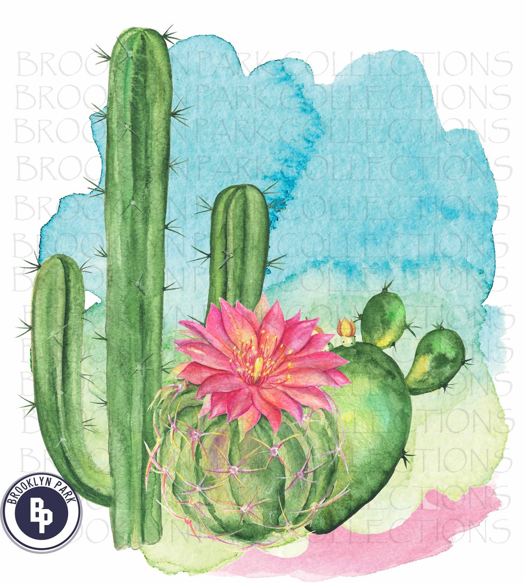 Watercolor Cactus, Splash Frame, Art Print, Digital Design, Instant ...