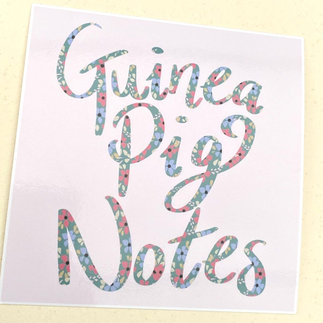 Guinea Pig Notes Sticker | Large 10cm | Sold Individually| Guinea Pig ...