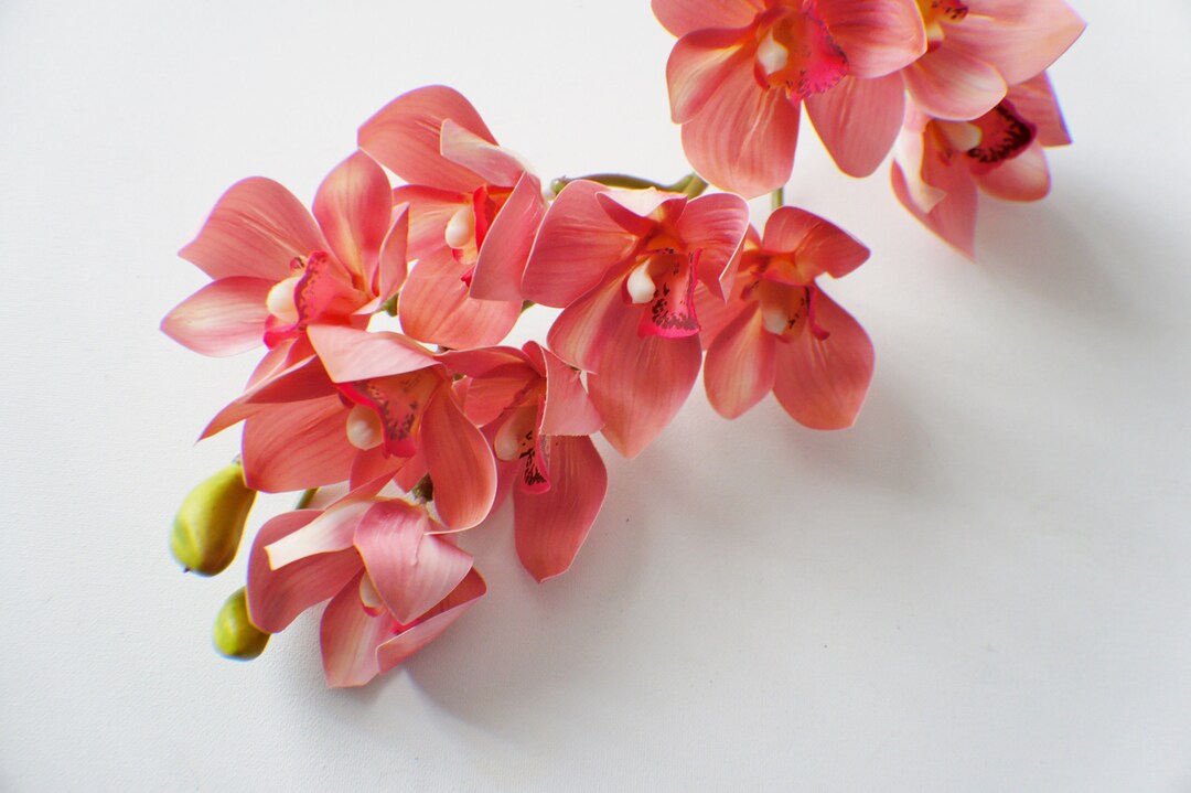 25" Artificial Coral Orchid Stem, Faux Orchid Flower Stems Tropical ...