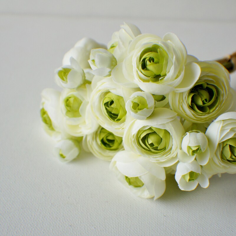White Ranunculus - Etsy
