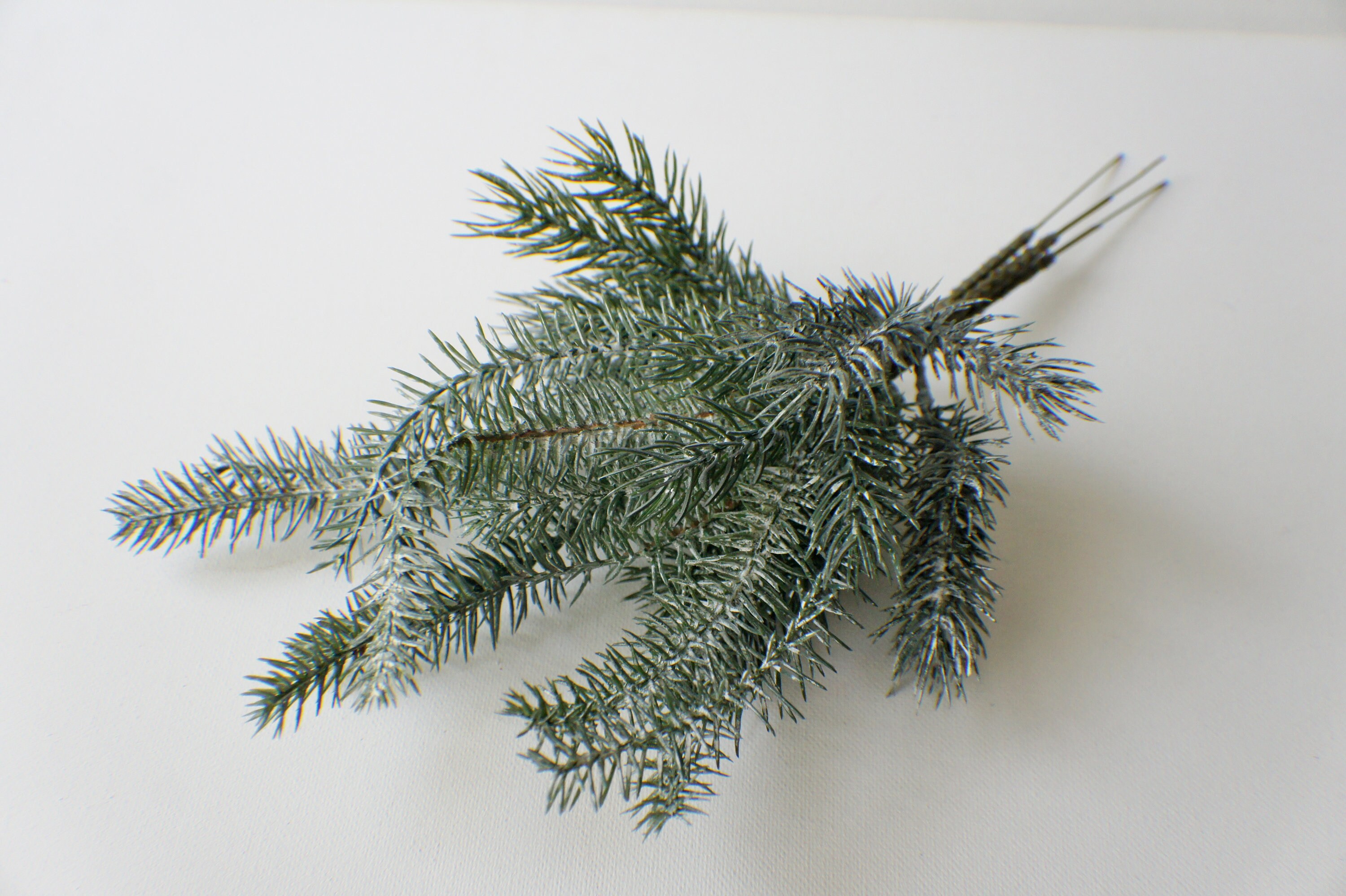 10 Blue Finger Pine Pick Bundle of 3 Stem Pick Vase - Etsy