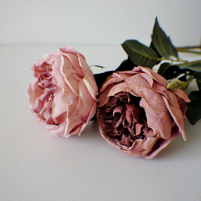 Dusty Pink Rose - Etsy