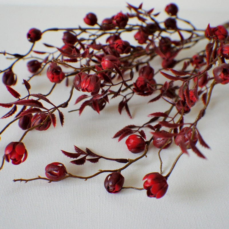 Red and Green Roses in Vase - Etsy