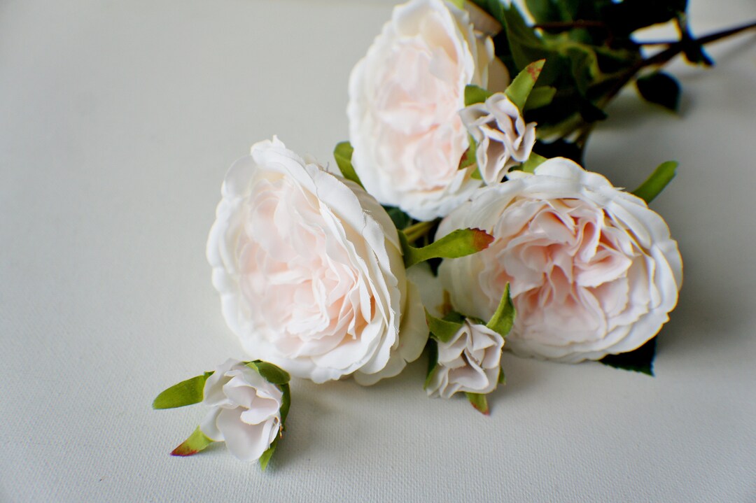 Cream Rose Stem: DIY Wedding Floral Centerpiece, 25 Inch - Etsy