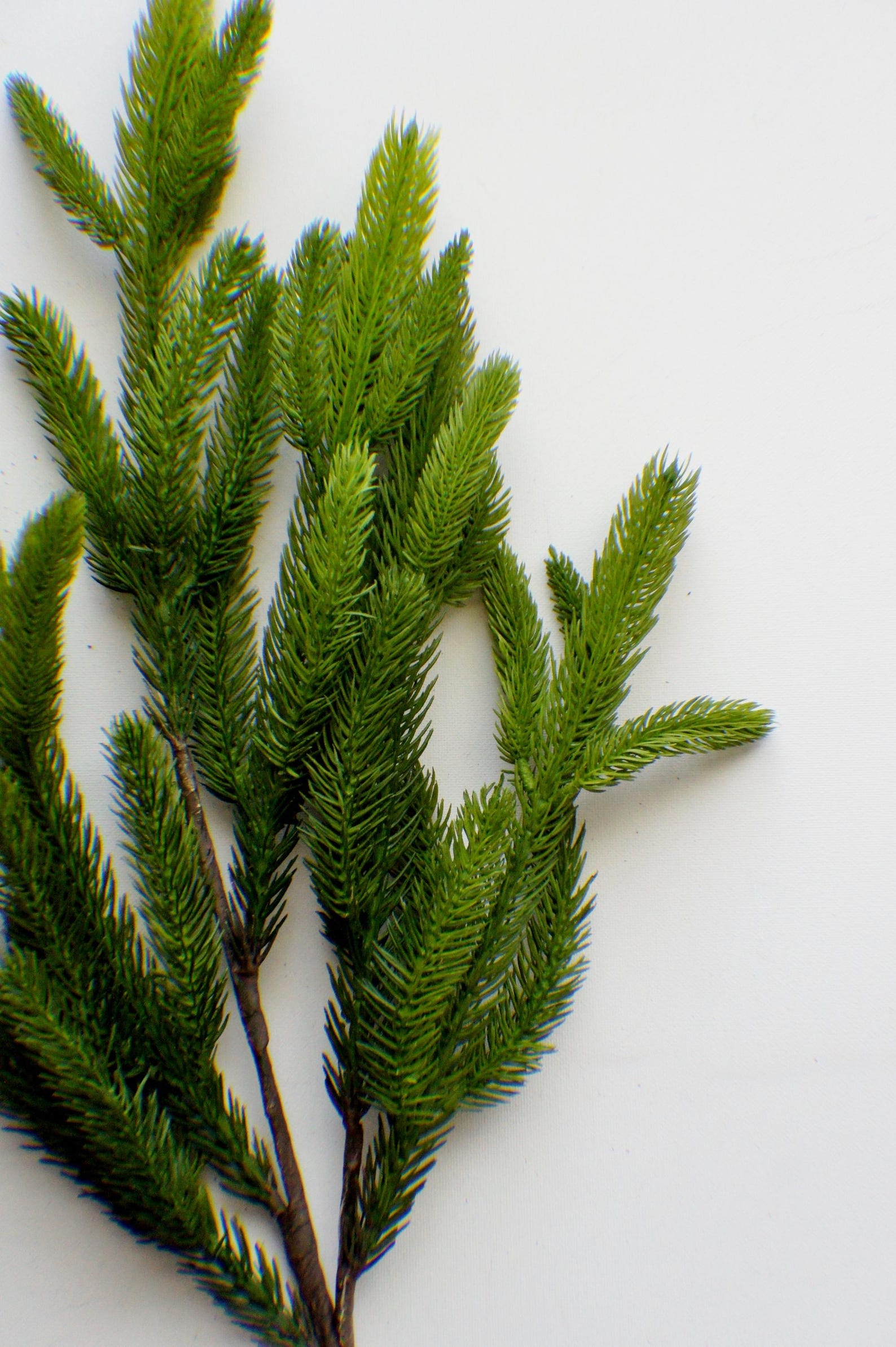 25" Pine Spray Fresh Touch Artificial Pine Spray, Spruce Pine Stem ...