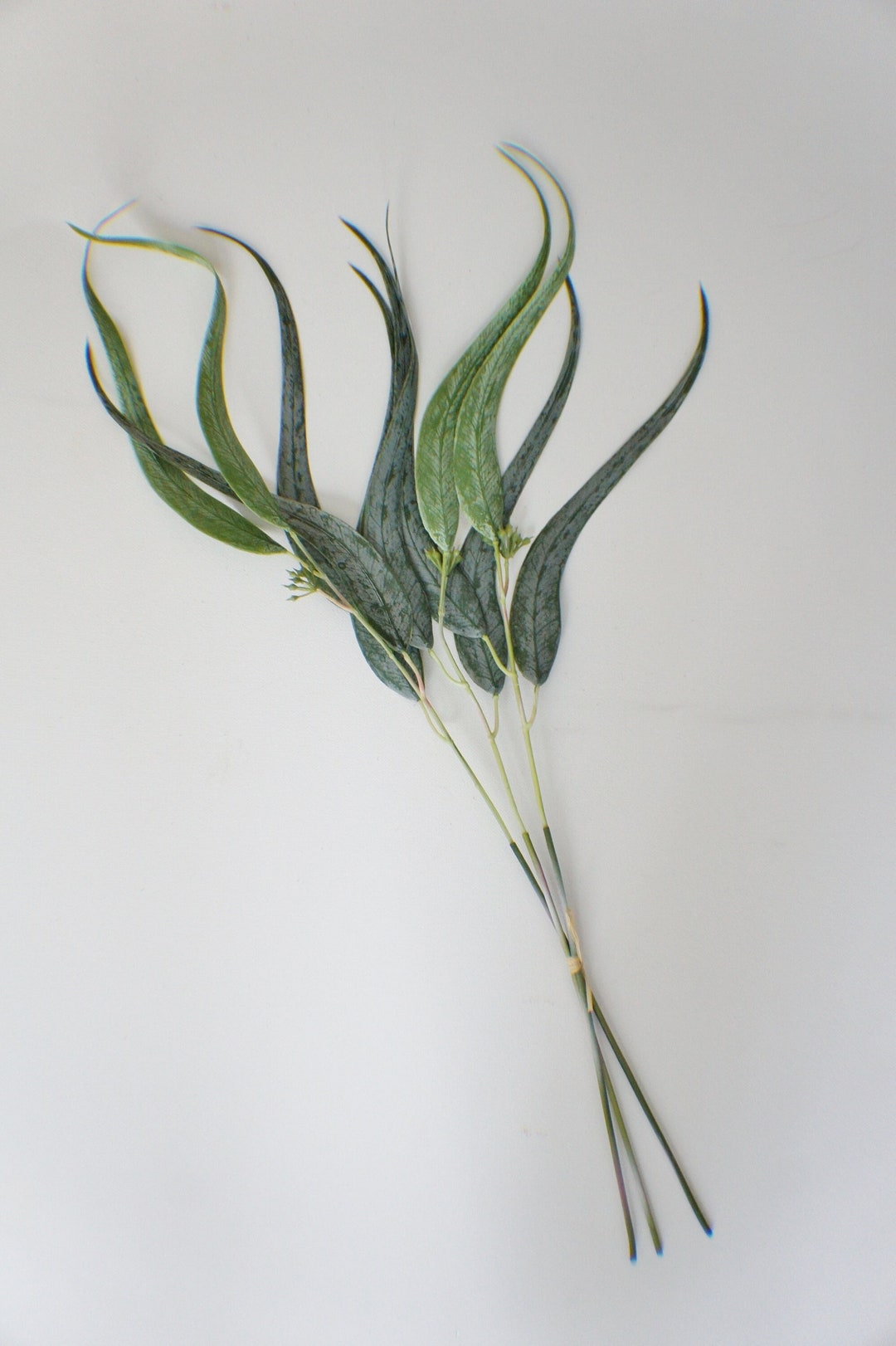 Eucalyptus Stems Bunch, Seeded Eucalyptus Stem,greenery, Faux ...