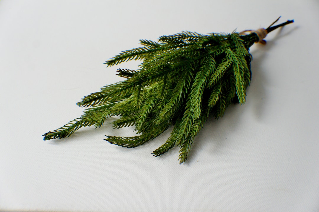 10" Fresh Touch Norfolk Pine Pick Bundle of 3, Stem Pick Vase Filler ...