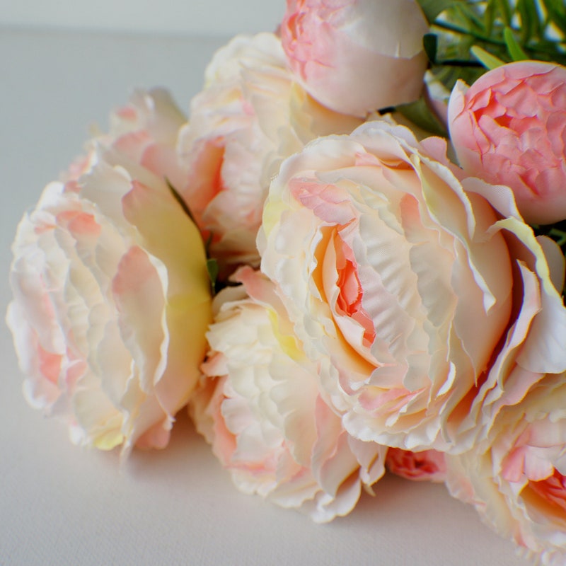 Peach Ranunculus - Etsy