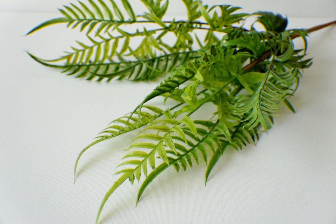Fresh Touch Lace Fern Bush, Fresh Green Faux Fern Stem, Artificial Fern ...