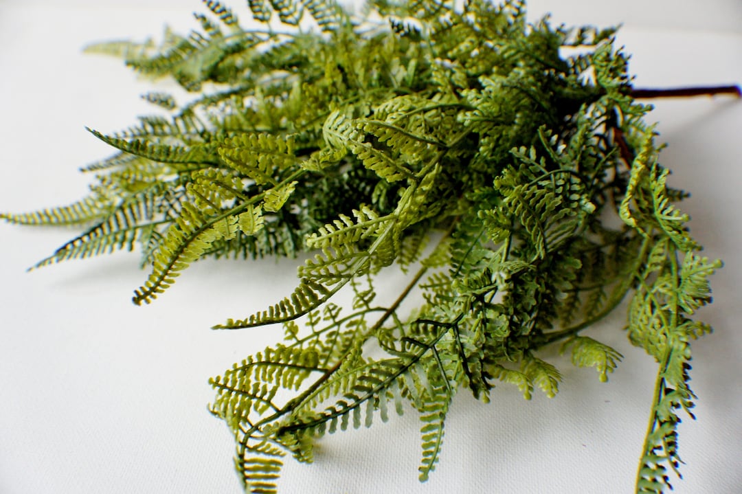 Fresh Touch Lace Fern Bush, Fresh Green Faux Fern Stem, Artificial Fern ...