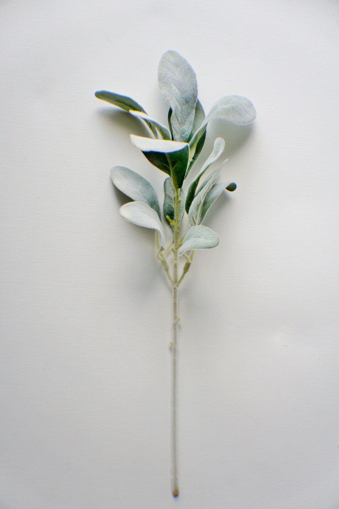 Lambs Ears Stem, Velvety Stem,greenery, Faux Lambs Ear, Artificial ...