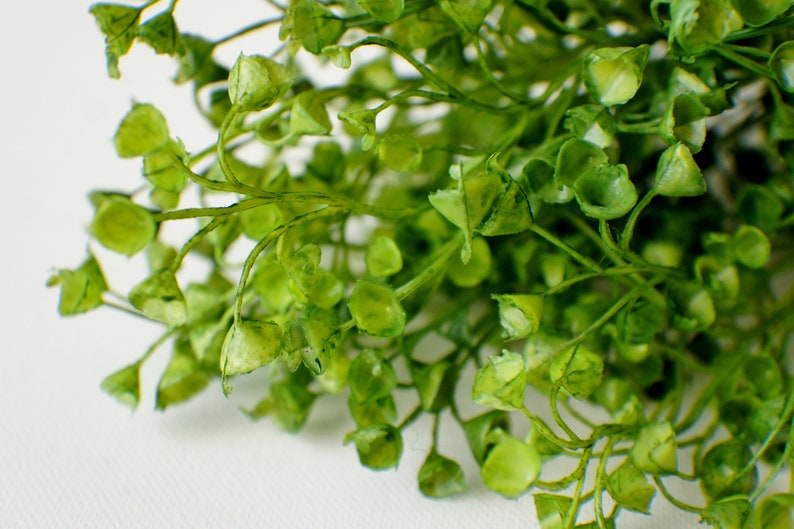 Fresh Touch Petty Coat Bush, Fresh Green Faux Stems, Artificial Greens ...