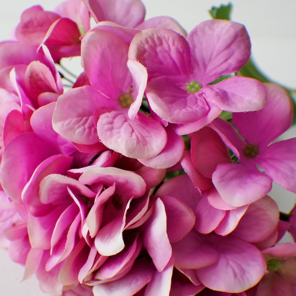 Hot Pink Hydrangea - Etsy