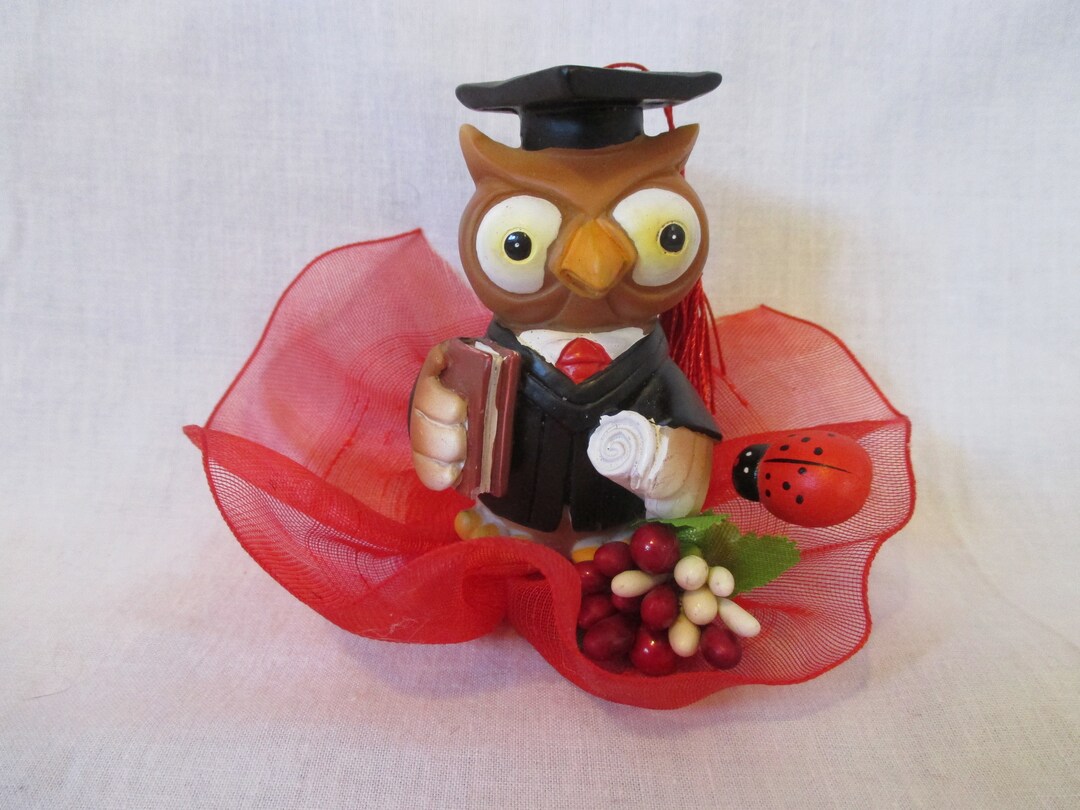 Graduation Ceramic Owl Lucky Ladybug on Red Lace Cake Topper Party ...