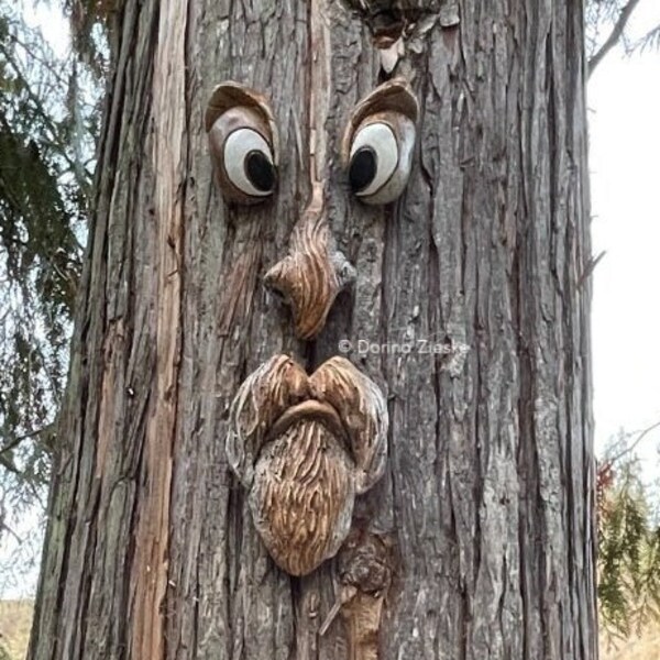Tree Faces for a Tree - Etsy