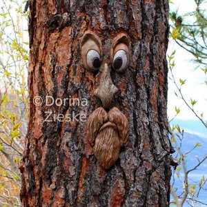 Mr. Grumpy Stump Tree Face Fun Birthday Gifts Made in - Etsy Canada