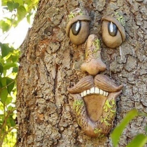 Mr. Grumpy Stump Tree Face Fun Birthday Gifts Made in - Etsy Canada