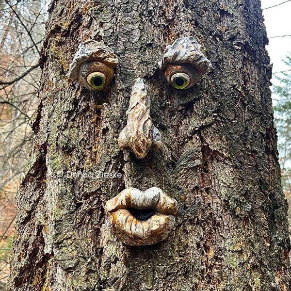 Tree Faces - Etsy