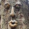 Tree Man Face - Etsy