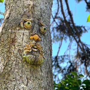 Sylas - Large Concrete Tree Face Bird Feeder, Whimsical Tree Art ...