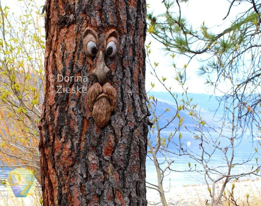 Mr. Grumpy Stump Tree Face Fun Birthday Gifts Made in - Etsy Canada