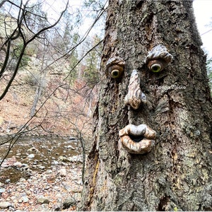 Forrest Stump - Concrete Tree Face Whimsical Gardeners Gift Forest Face ...