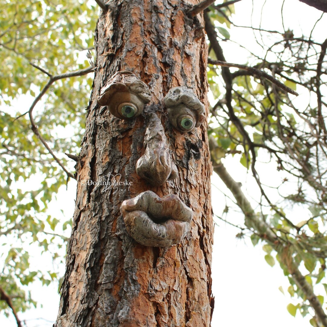 Forrest Stump Concrete Tree Face Christmas Gift Birthday - Etsy